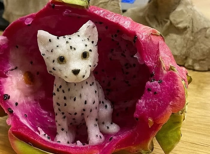 A tiny dragon fruit kitty is just too cute - 9GAG