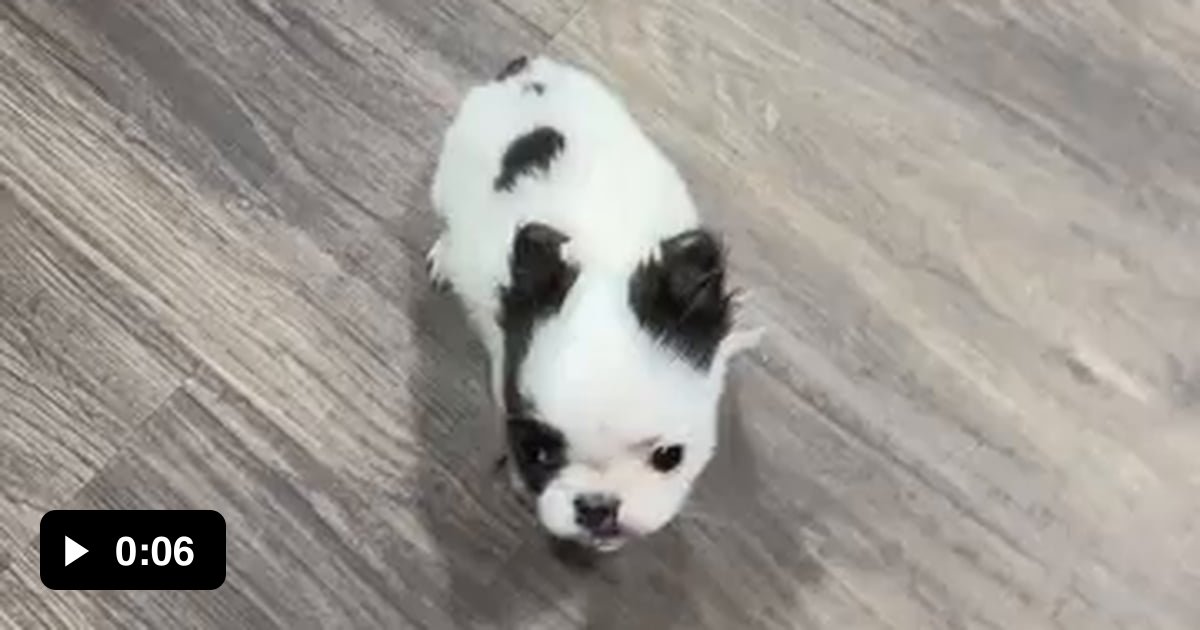 So smol - 9GAG