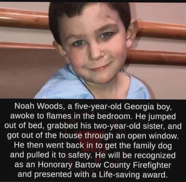 A brave little man - 9GAG