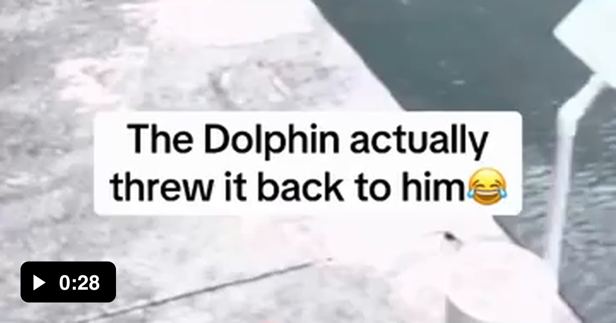 This Dolphin can throw a perfect spiral - 9GAG