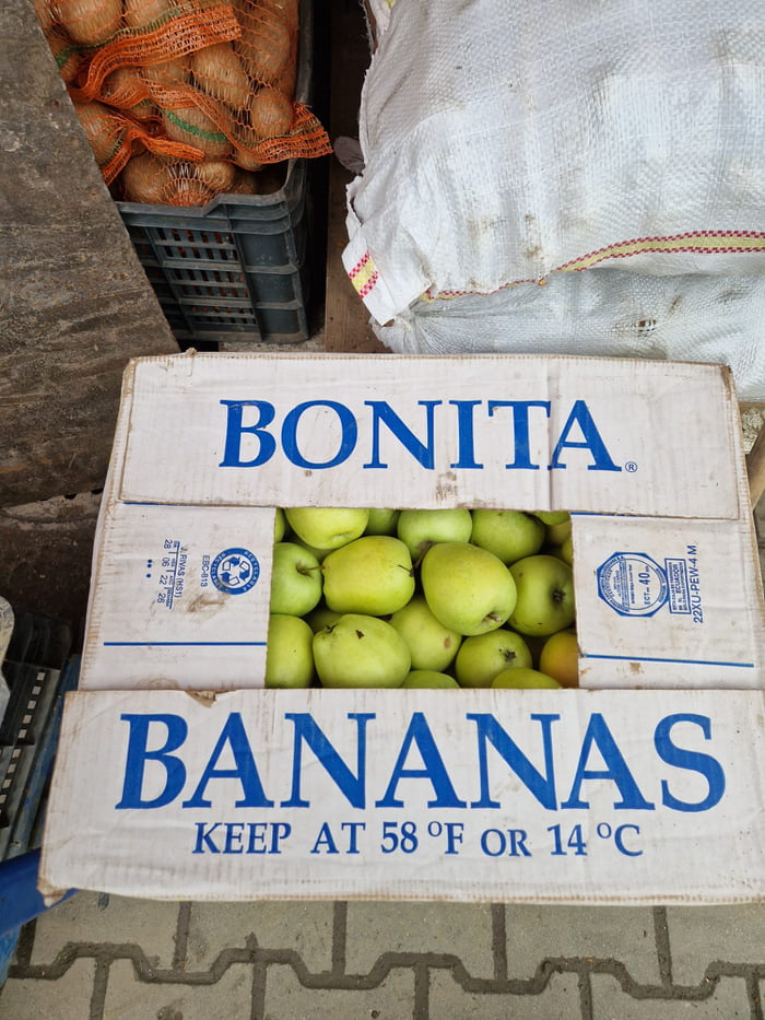 When fruits are getting trans... - 9GAG