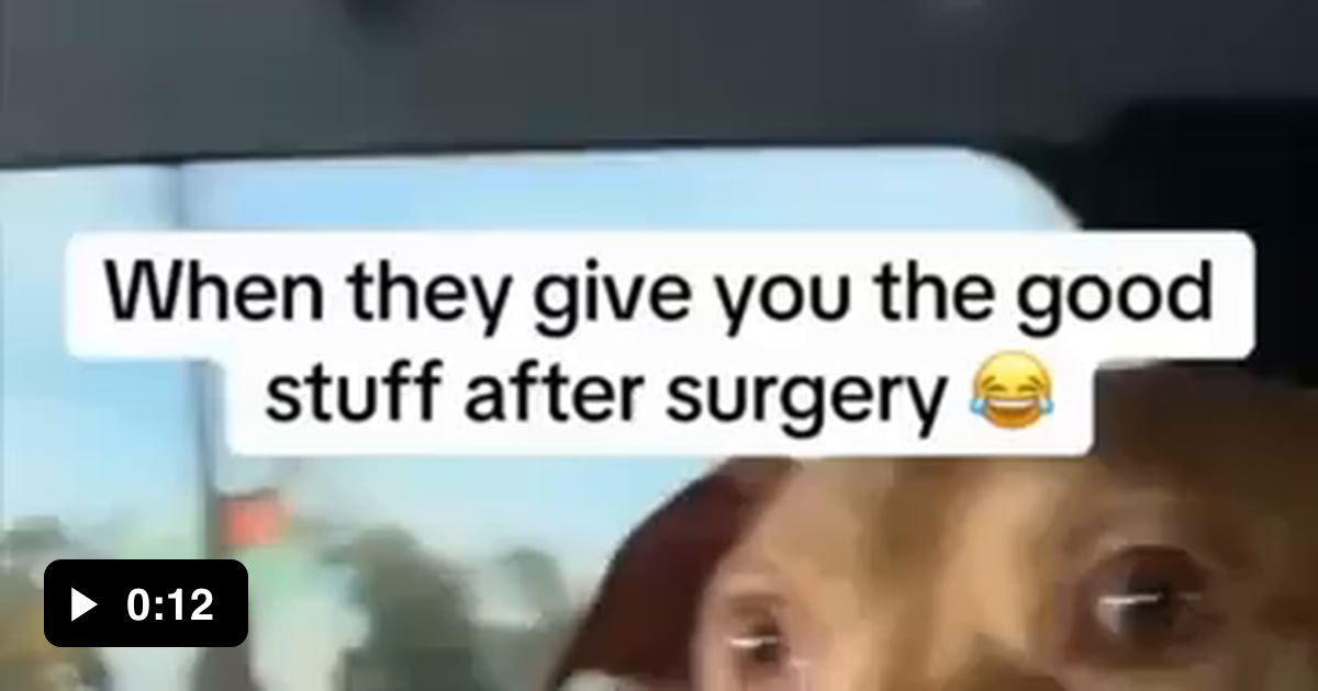 The vet gave the doggo the good stuff 😂😂 - 9GAG