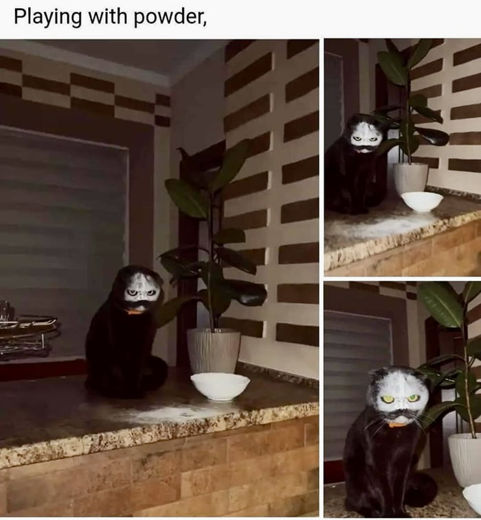 "It was a prank, Kitty. Please don't kill me" - 9GAG