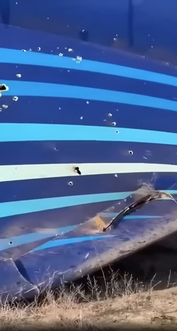 Birdstrike my ass… - 9GAG