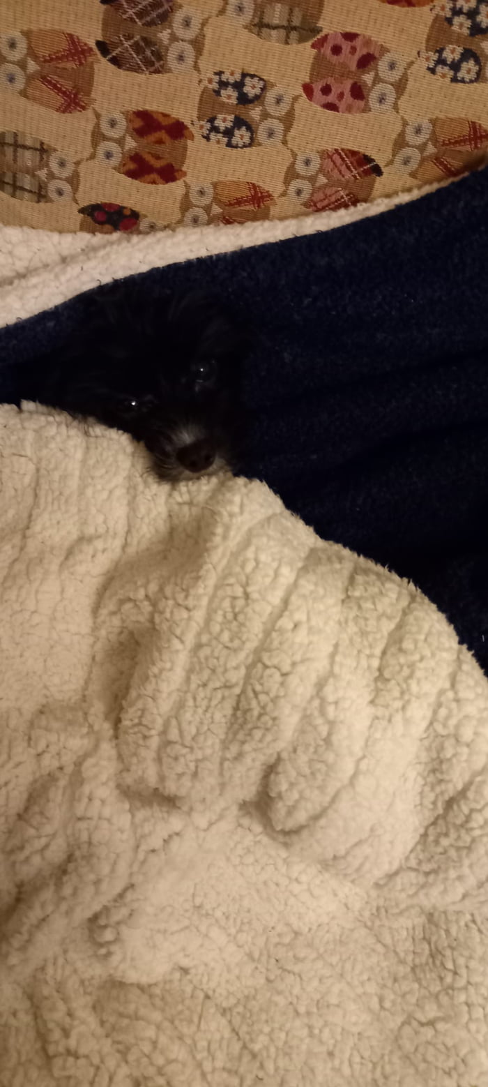 To exit the void. You must enter the void - 9GAG