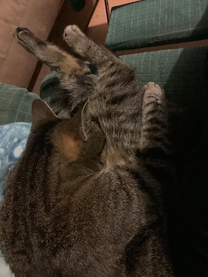 She Fell Asleep Like This 9gag