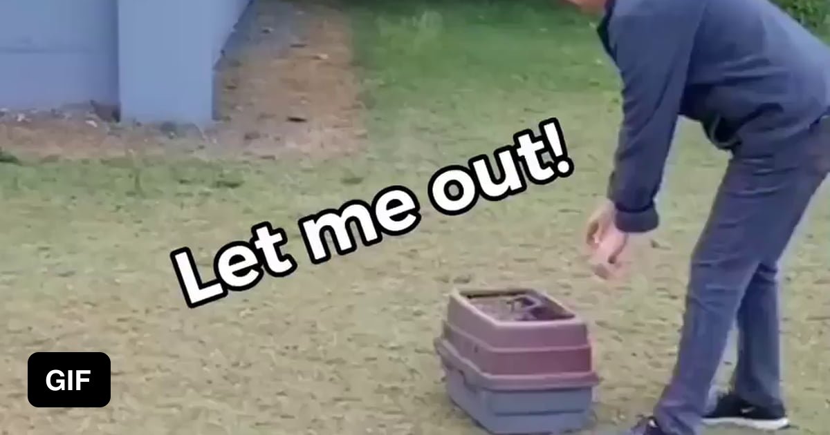 The Return of Jeph - 9GAG