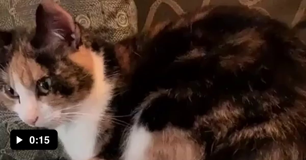 Some classic Bach - 9GAG