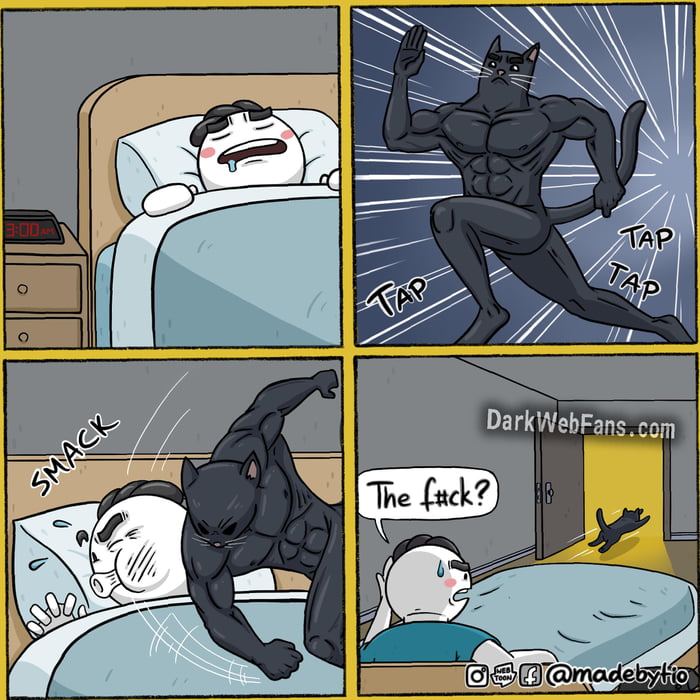 "Don'T Get Too Comfy!" - 9GAG