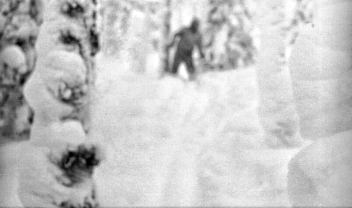 One of the last known pictures taken by the hikers of the dyatlov pass ...