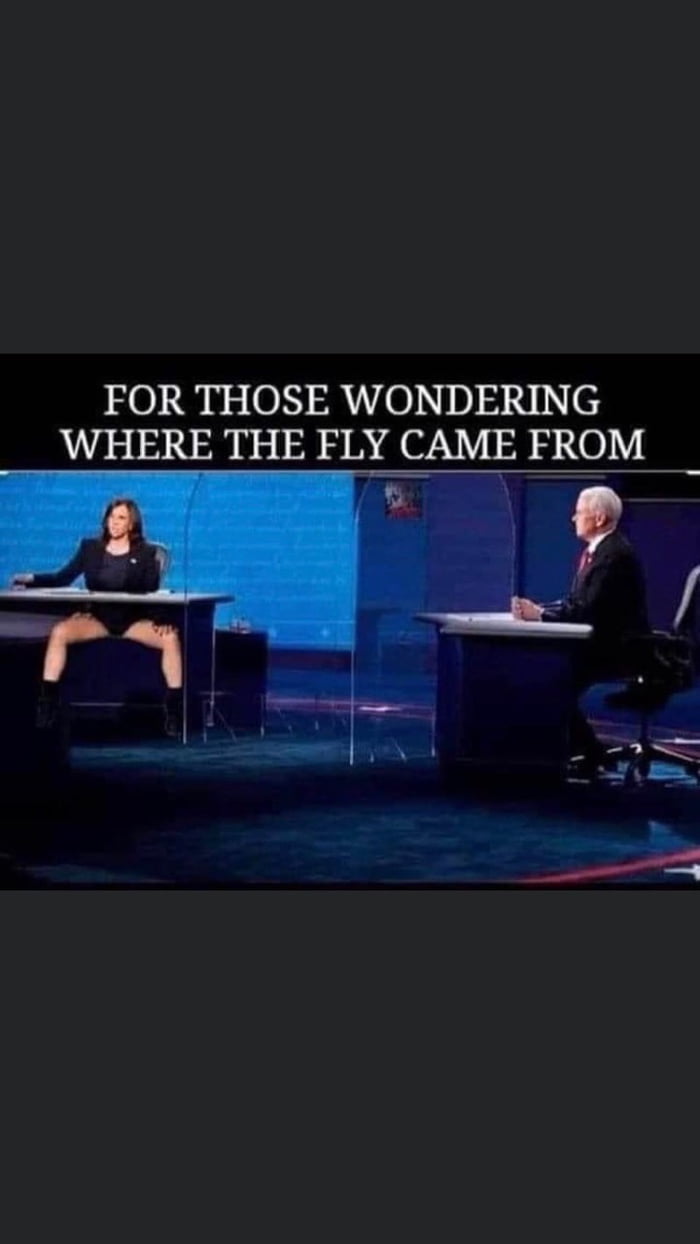 Need a bigger fly swatter - 9GAG