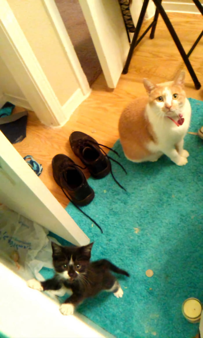 He was very concerned about me showering (and very vocal about it) - 9GAG