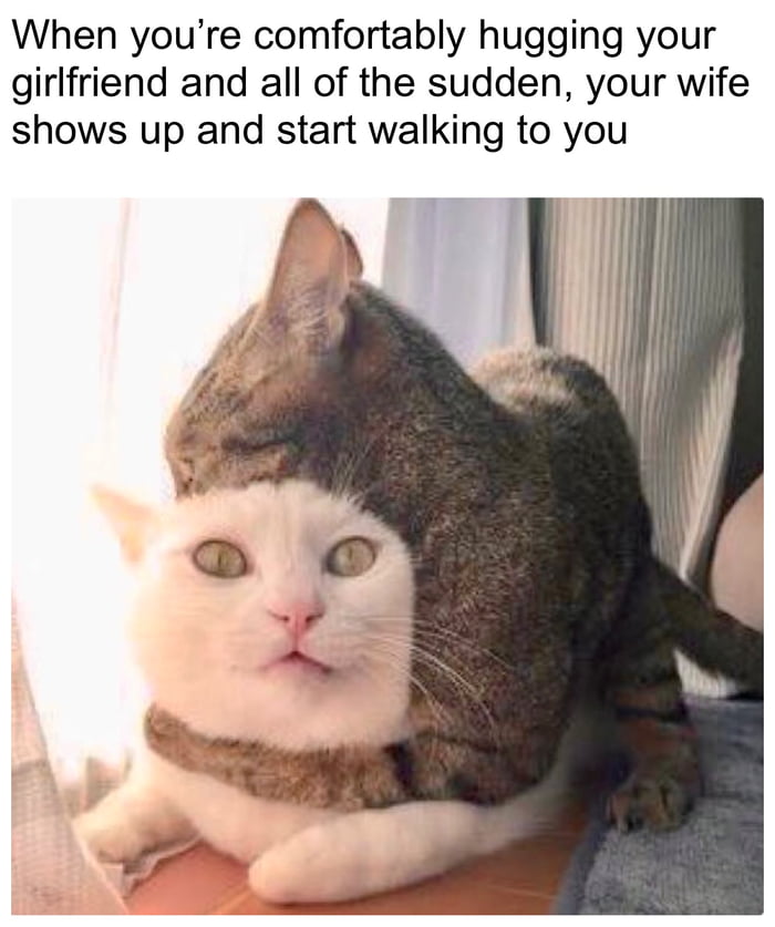 Honey, I can explain it.. I mean “Meow” - 9GAG