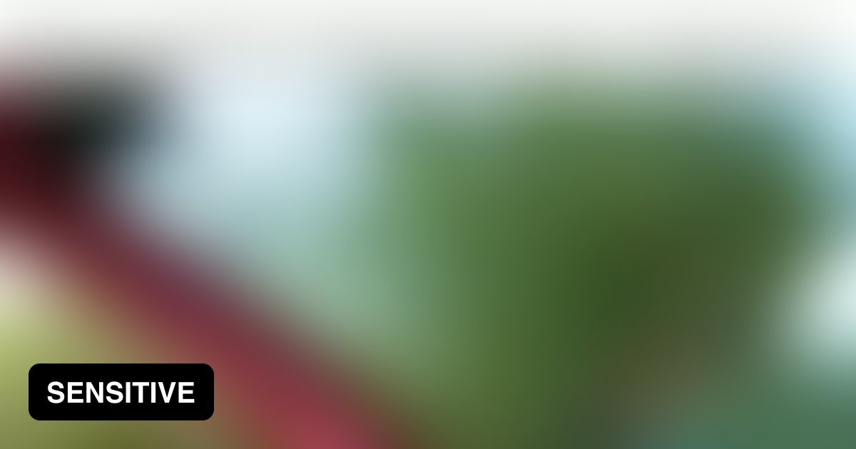 It's him the Lion King - 9GAG