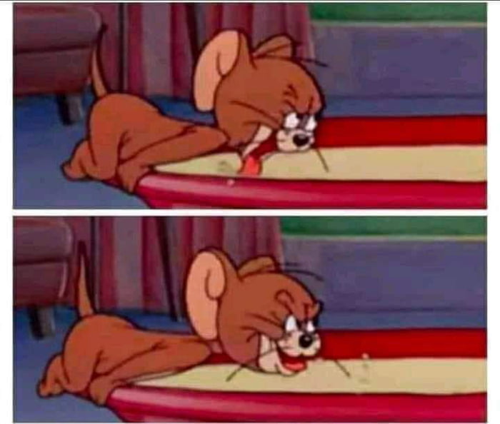 LICKY LICKY DO when you haven't lick her for 5 months - 9GAG