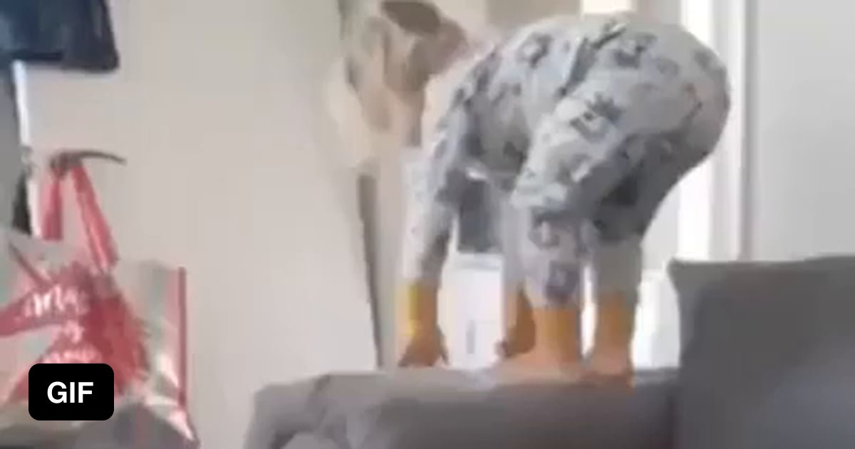 Jumping off the couch - 9GAG