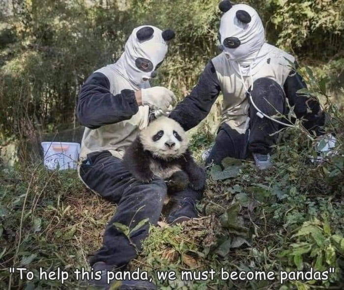 Think Panda - 9GAG