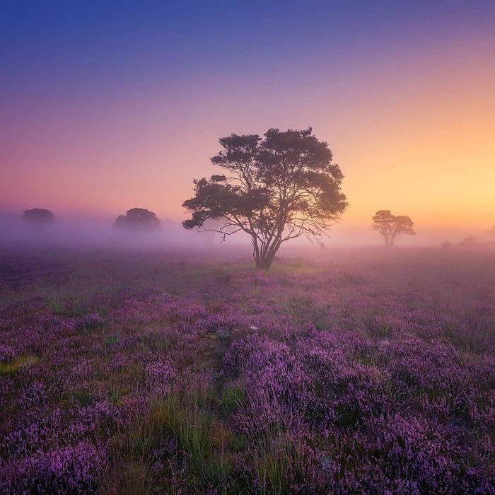 Magical area around Hilversum - 9GAG