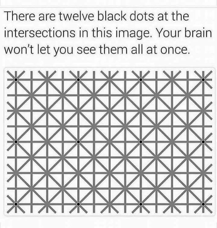 Disappearing dots illusion - 9GAG