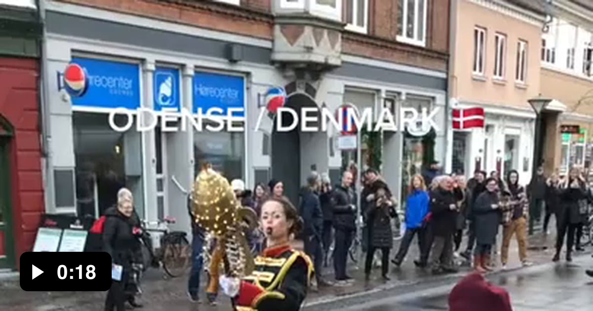 Goose parade in Denmark - 9GAG