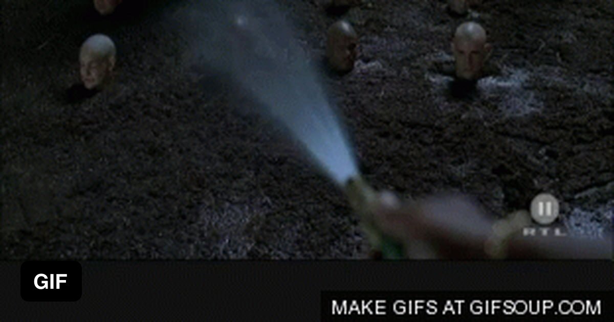 All rlght, my little patch of Brussels sprouts. this is my favorite ...