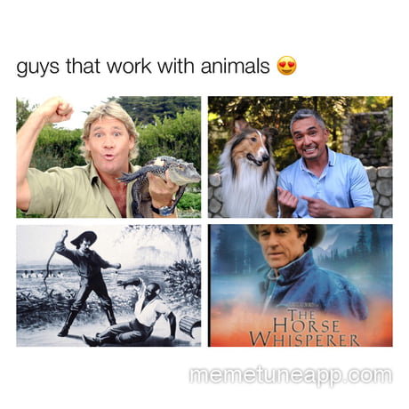 Best 30+ Steve Irwin fun on 9GAG