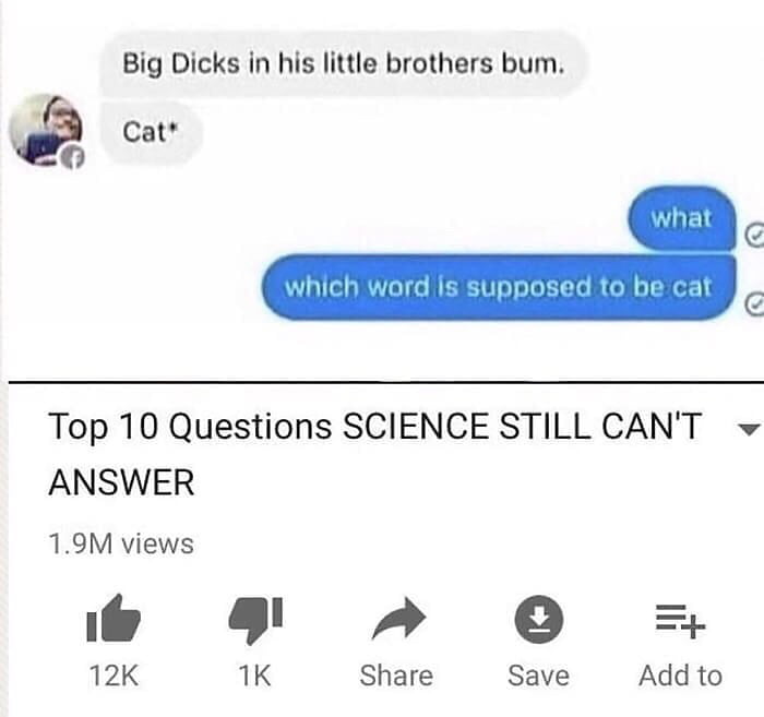 Big cats in my little brother's bum - 9GAG