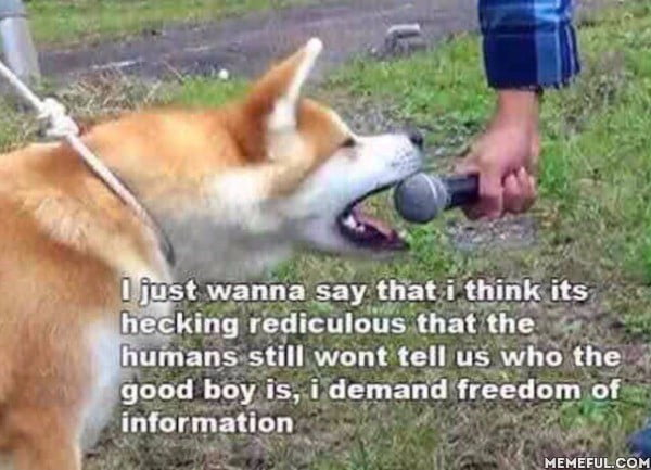 Issa good boii - 9GAG