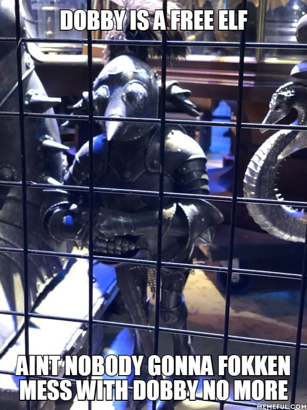 Dobby is a free elf. Aint nobody gonna fokken mess with dobby no more ...