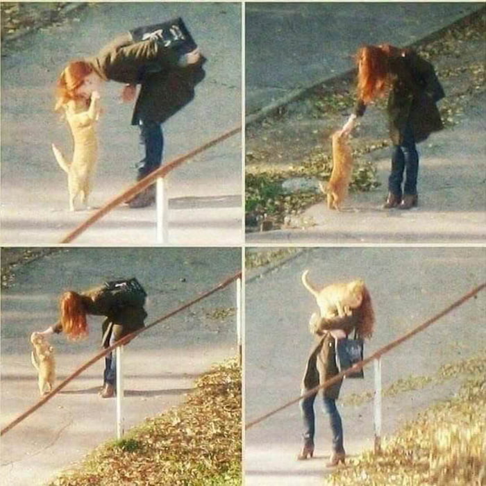 A lady met a random cat, beautiful encounter ensues - 9GAG