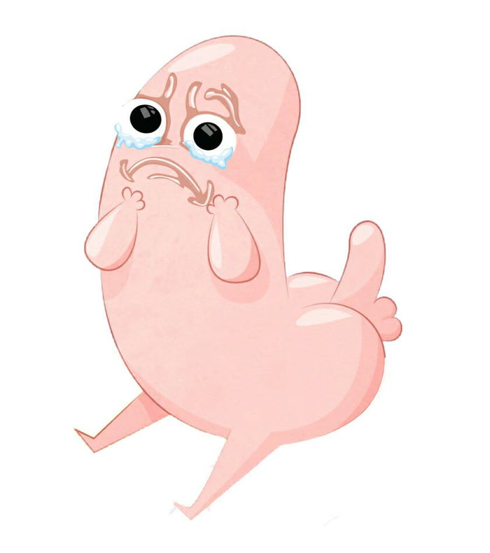 One last dickbutt... It has been a glorious day. - 9GAG