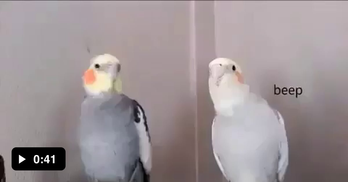 Beep beep beep - 9GAG