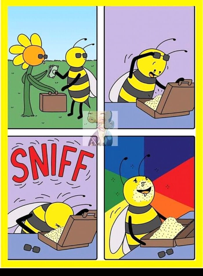 Das good shit - 9GAG