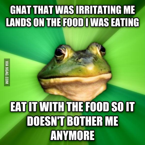 I may be the personification of this frog. - 9GAG
