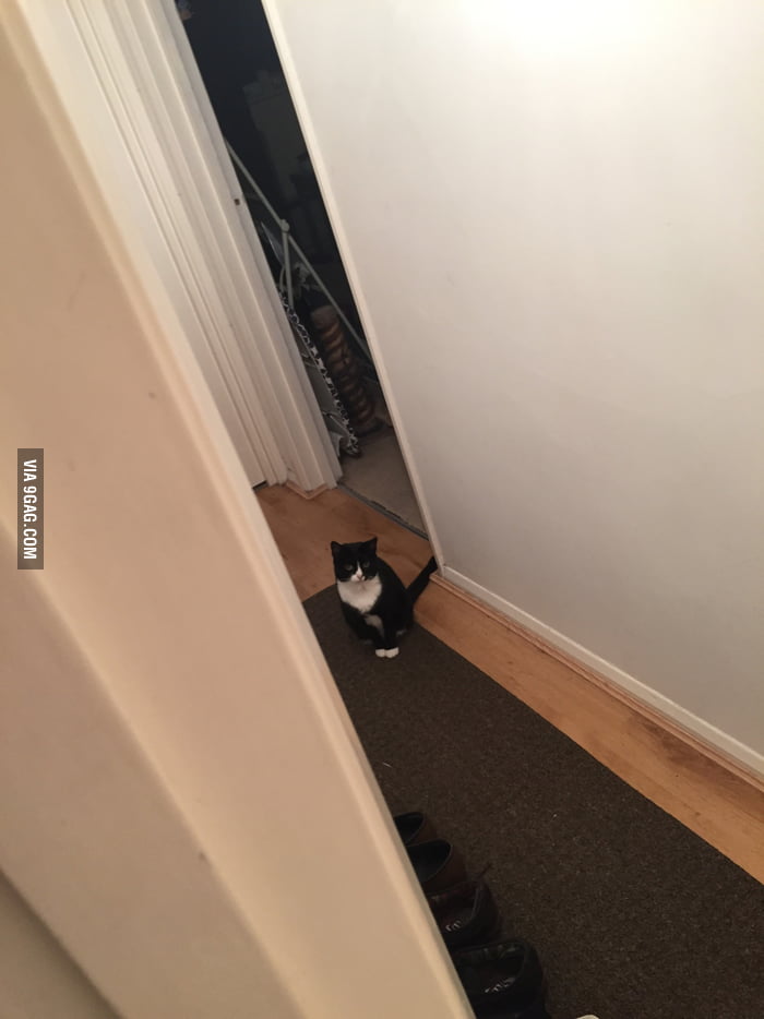 She always waits here for me when I'm in the bathroom... Think she's plotting... - 9GAG
