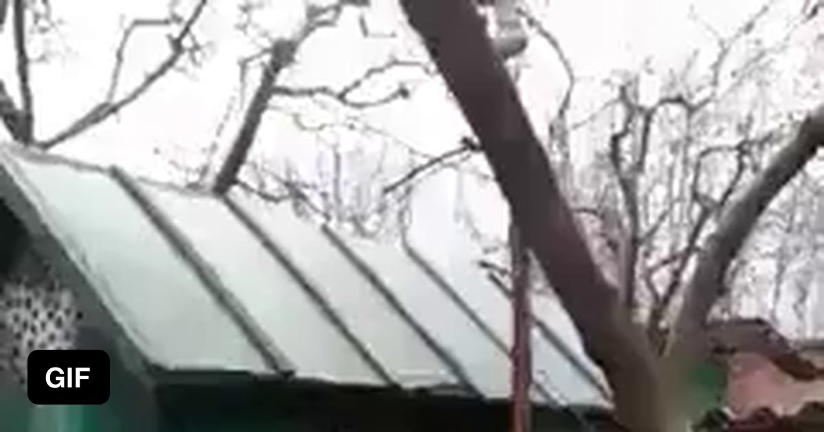 Damn thick boi - 9GAG