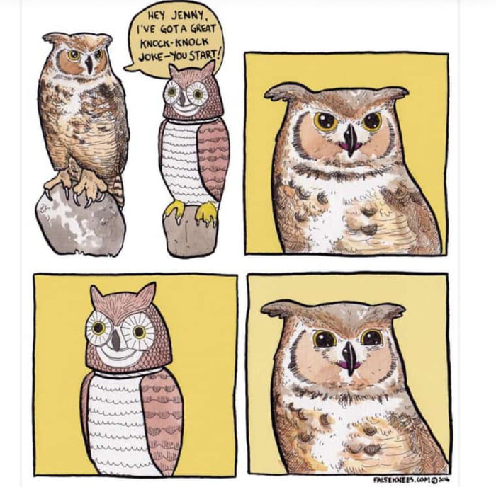 Poor owl - 9GAG