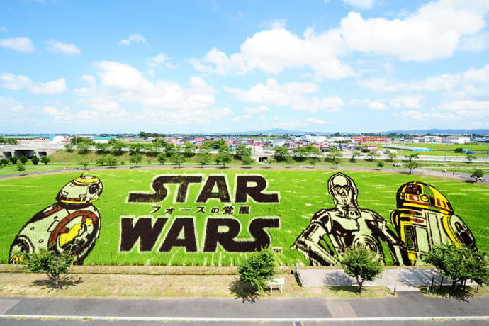 Star Wars Rice Paddy Art In Japan. Rice paddy art is an art form ...