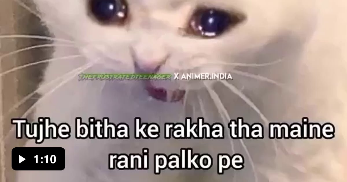 Meme daal bsdk - 9GAG