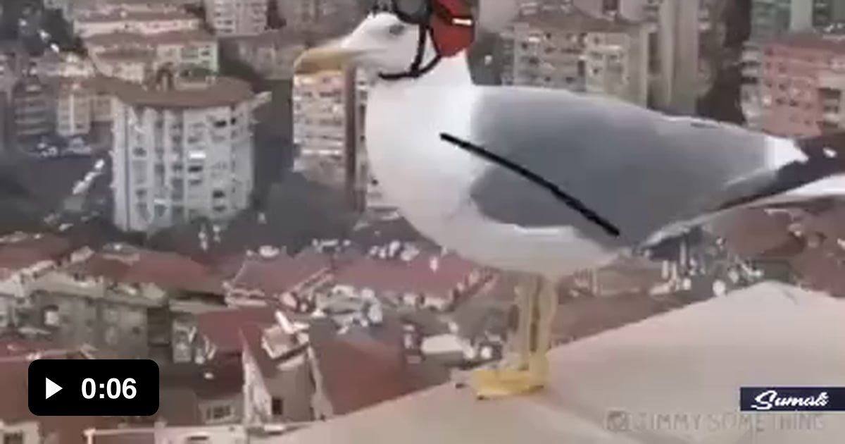 Just something funny to you, people of Kazakhstan... It's the best I ...