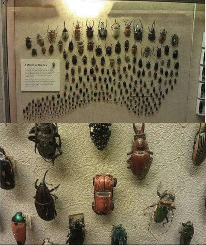 In Cleveland Museum, you can find very interesting bug - 9GAG