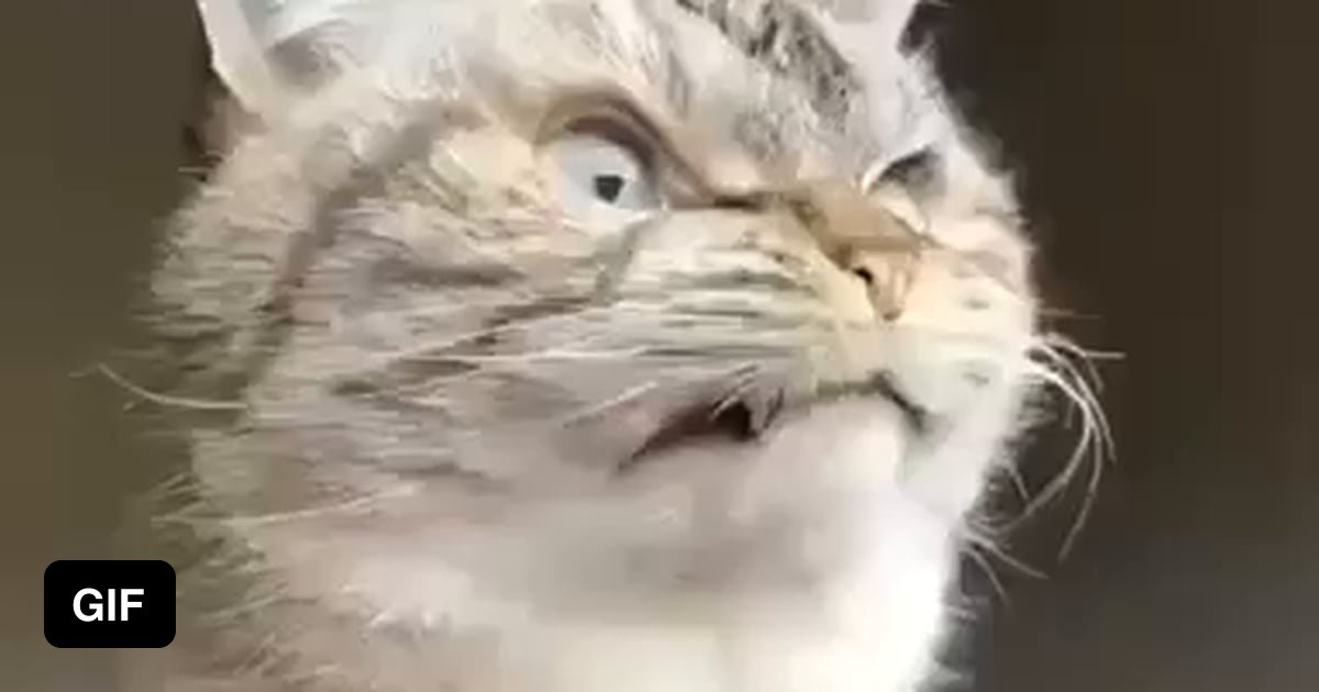 Angry - 9GAG
