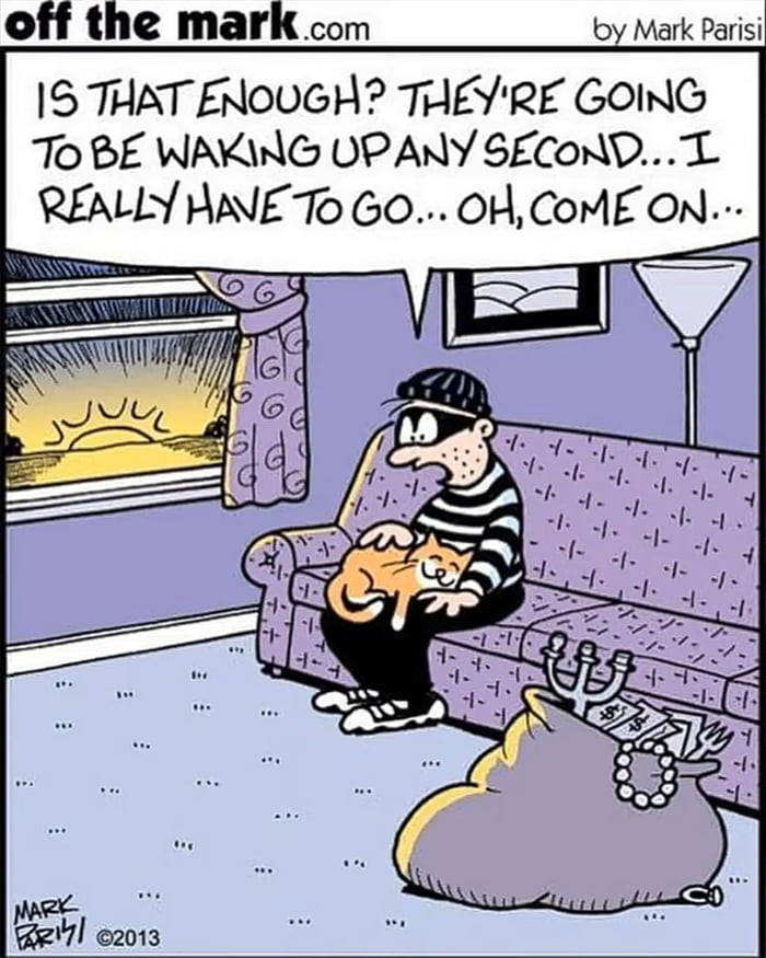 Pet tha damn cat - 9GAG