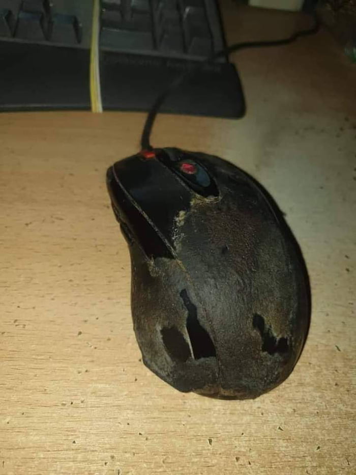 Just a dirty mouse - 9GAG