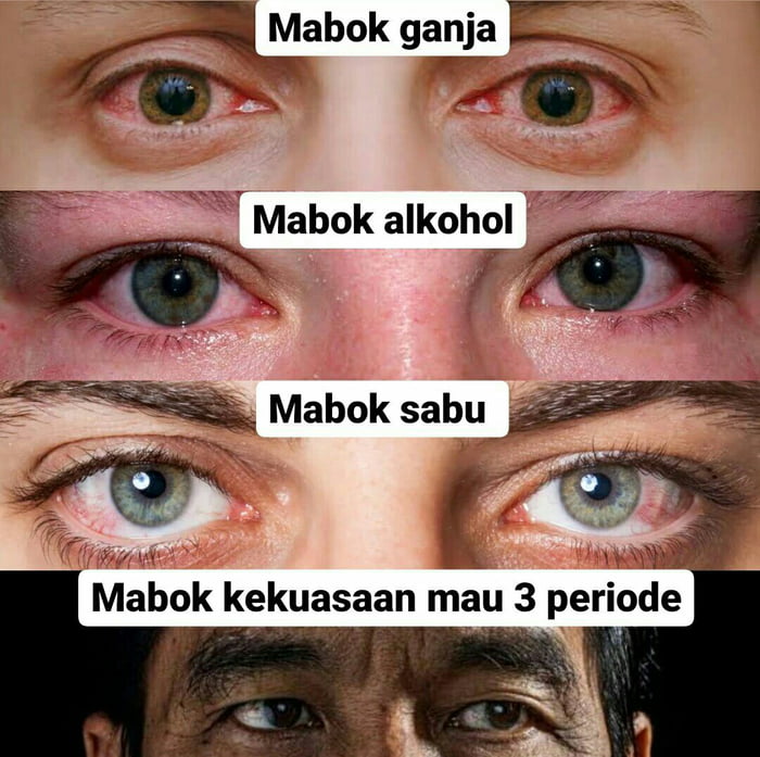 Mending mabok kecubung - 9GAG