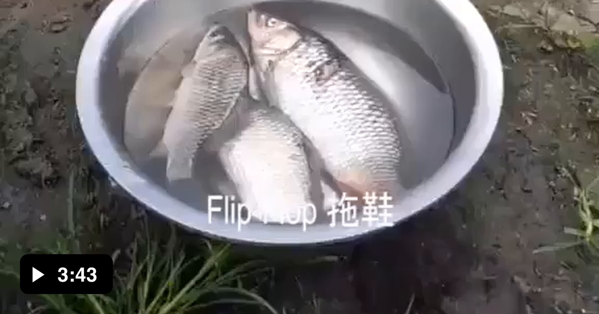 How to make your own fishing squad - 9GAG