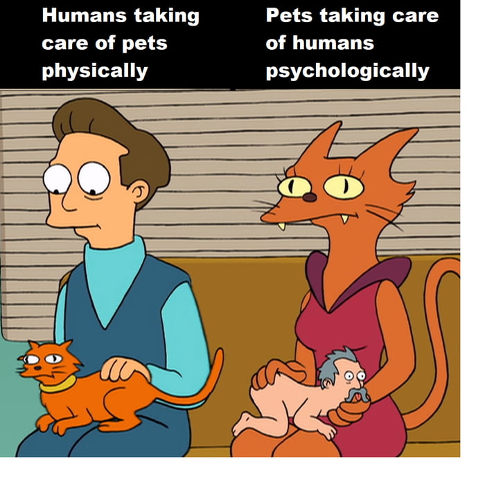 A meme from every episode of Futurama- Season 2 Episode 1 - 9GAG