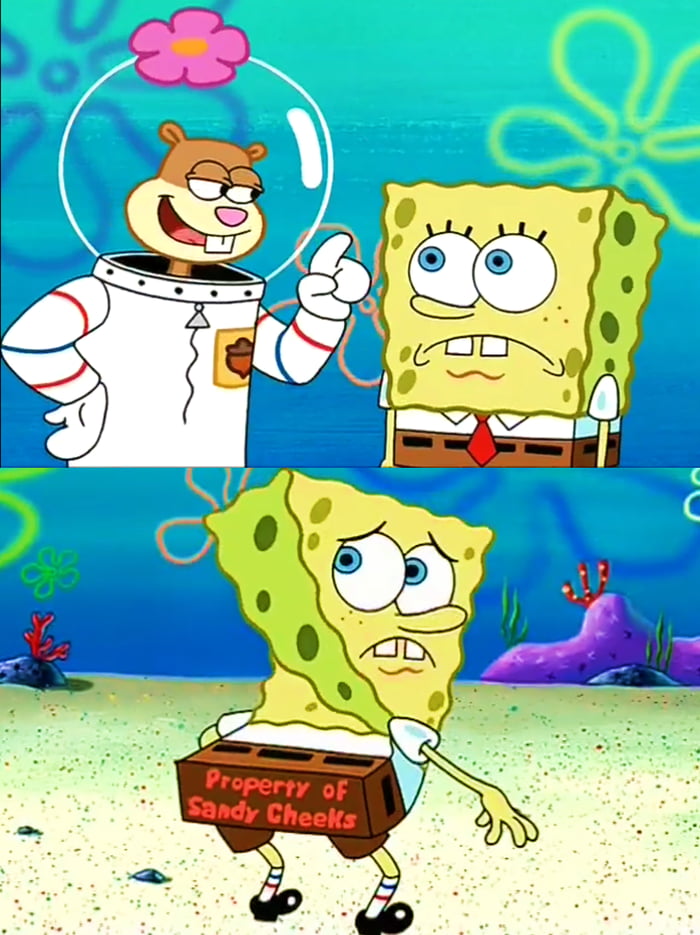 Reminder, SpongeBob's ass belongs to Sandy - 9GAG