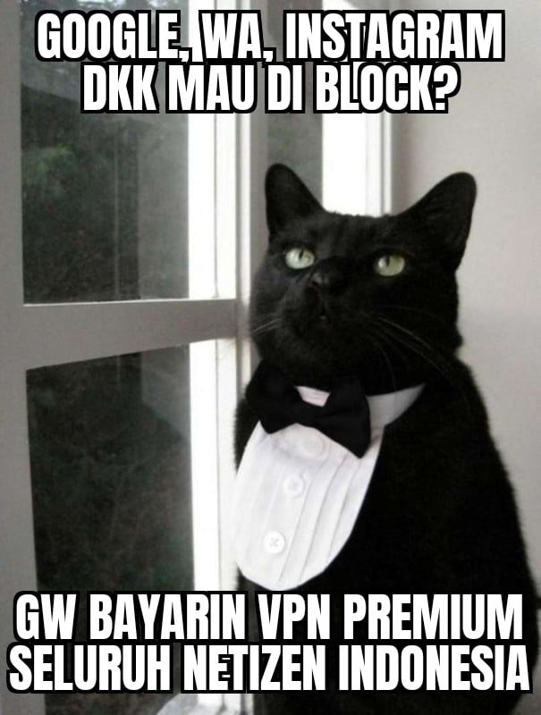 Kucing kaya raya mah beda. - 9GAG