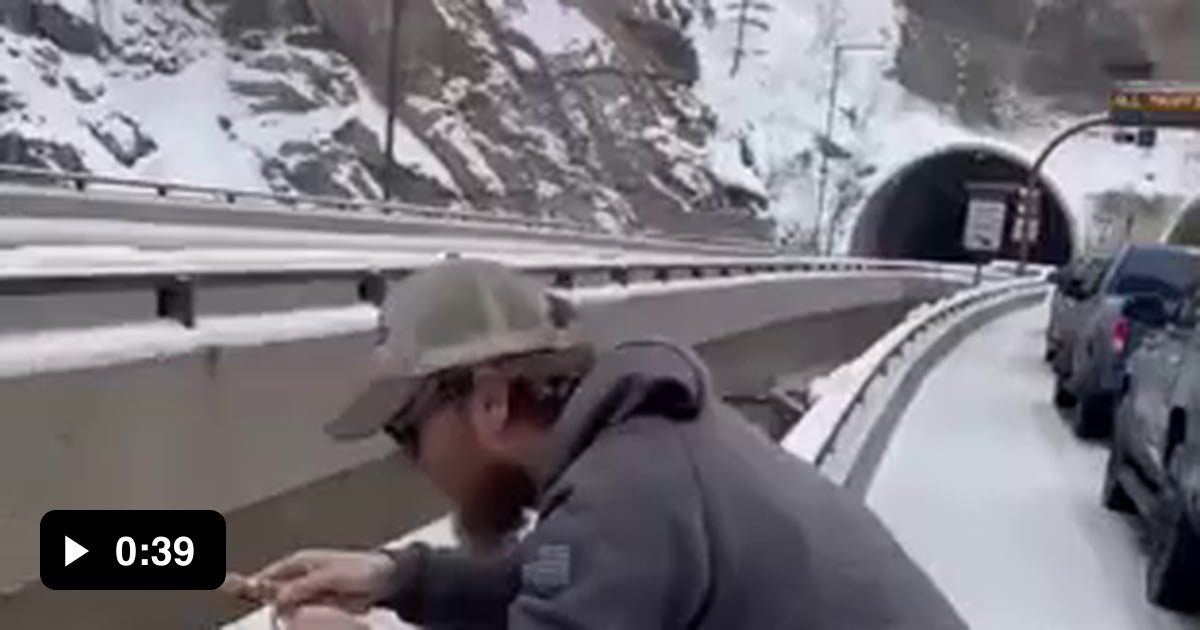 Man catches fish while waiting in traffic jam - 9GAG